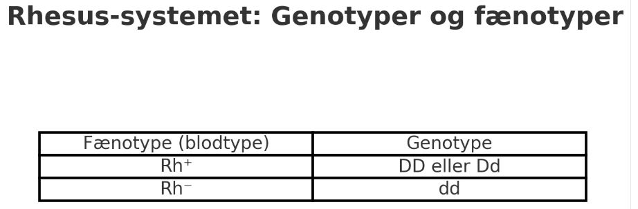 Blodtyper: Forstå blodtyperne og deres nedarvning | Undervisningslokalet