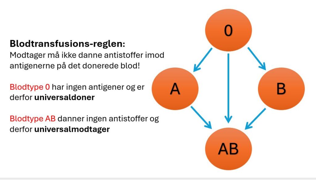 Blodtyper: Forstå blodtyperne og deres nedarvning | Undervisningslokalet