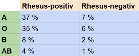 Blodtyper: Forstå blodtyperne og deres nedarvning | Undervisningslokalet